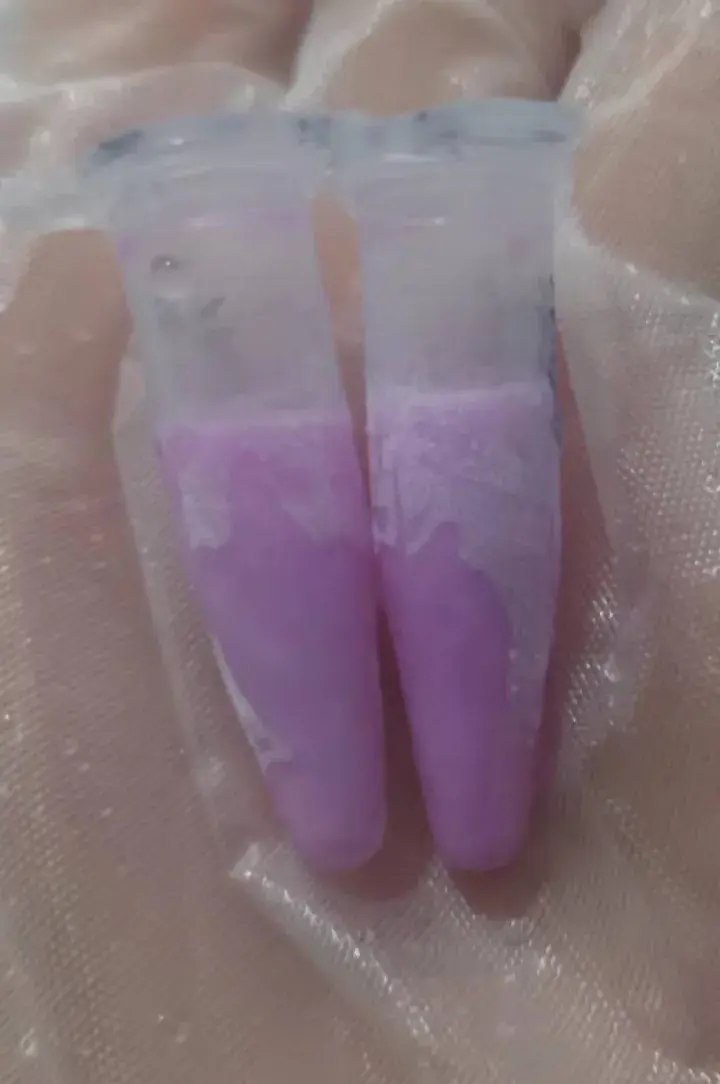 手把手教学——TRIzol提取细胞RNA的经验分享 - 知乎