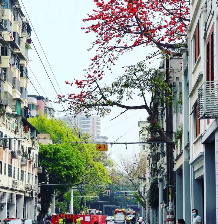 vue学习系列，props和data的区分 - 知乎