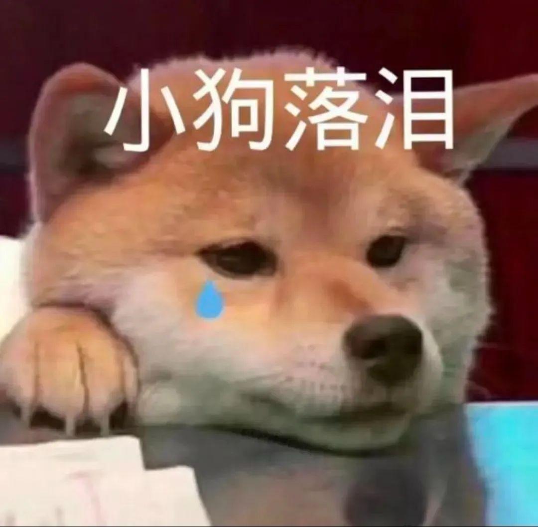 有没有什么沙雕表情包？ - 知乎