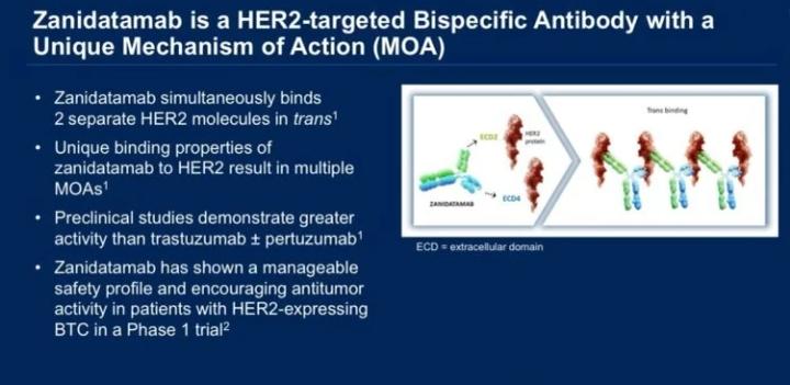 FDA 加速批准 Ziihera 注射液用于 HER2 靶向治疗 - 知乎