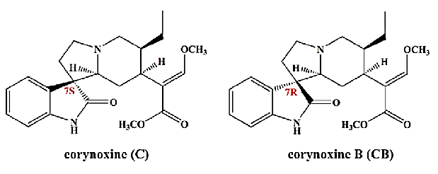 想get更多免疫检测技术？毛细管电泳了解一下 - 知乎