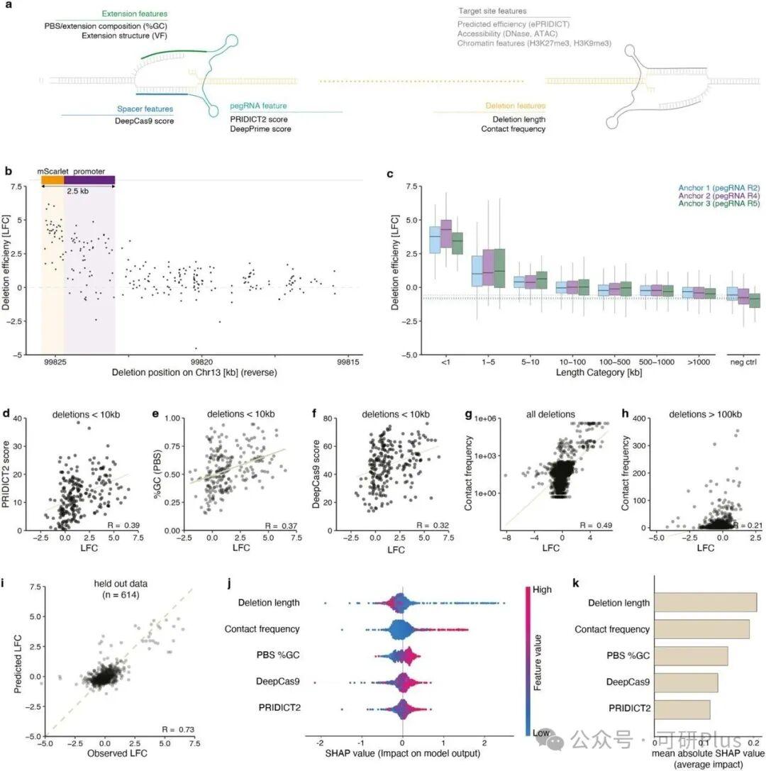 Prime Editing 再突破：实现千碱基至兆碱基级精准大片段删除！ - 知乎