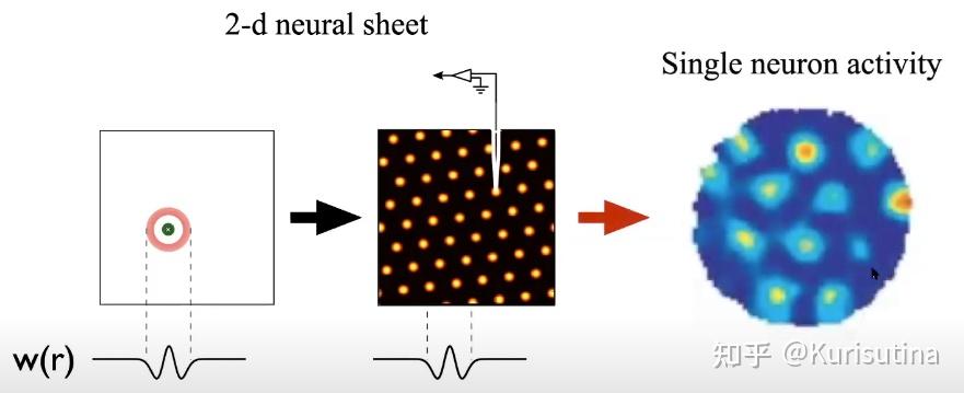 如何学习分析神经流形（neural manifold）？ - 知乎