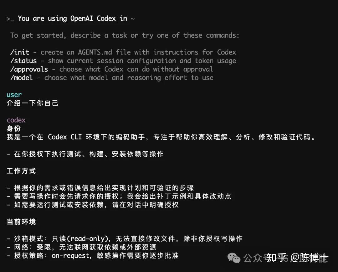 刚刚，最新 GPT-5 Codex 发布！macOS 本地部署教程 - 知乎