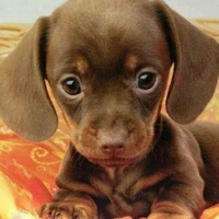 使用libssh库实现SFTP上传文件到远程服务器 - 知乎