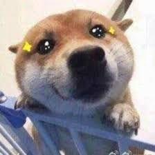 再分享一些狗狗表情包(›´ω`‹ ) - 知乎