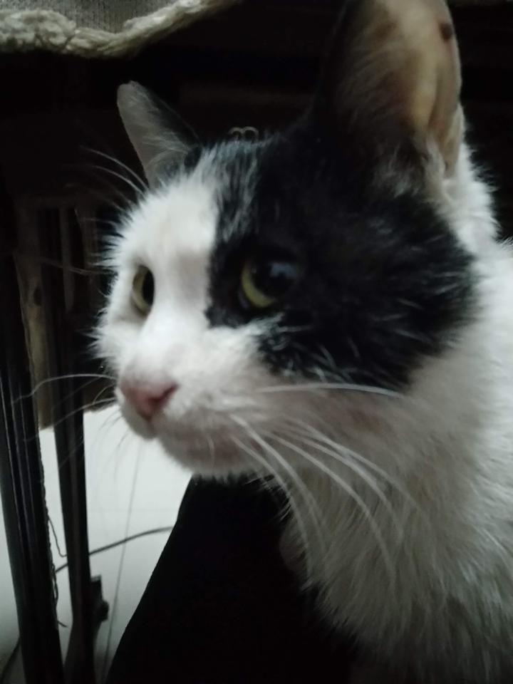 每日一个Rust crate: async-channel - 知乎