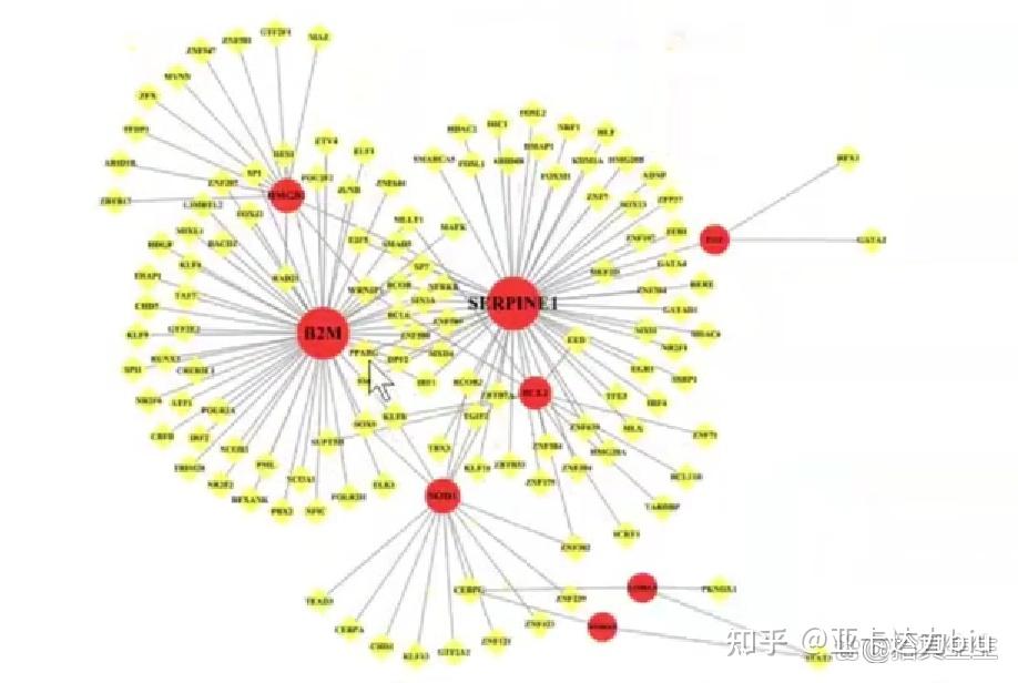 networkanalyst使用|预测TF-gene,TF-miRNA,disease-chemical等相互作用网络并用Cytoscape ...