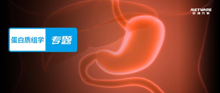 Nat Commun｜多组学揭示食管胃交界处腺癌(AEG)的三种蛋白质组学亚型及潜在的可药物化靶点 - 知乎