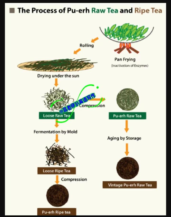 252 雅思写作 雅思机考 流程图super重点预测：普洱茶 - 知乎