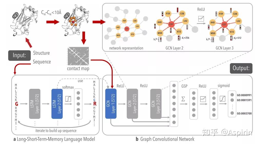 Nat. Commun. | 基于结构和GCN的蛋白质功能预测 - 知乎