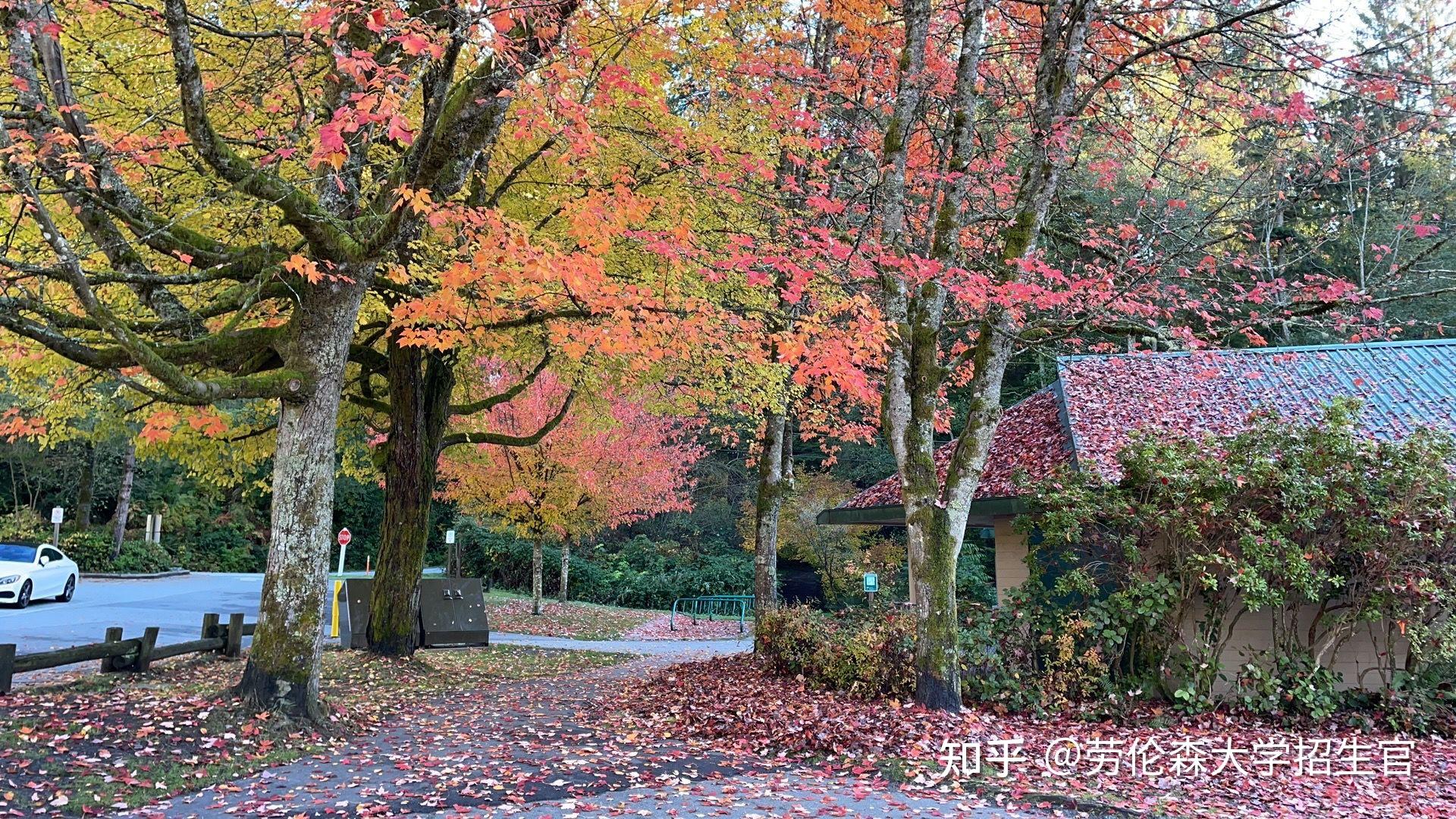 加拿大为什么会被称为「枫叶国」？ - 知乎