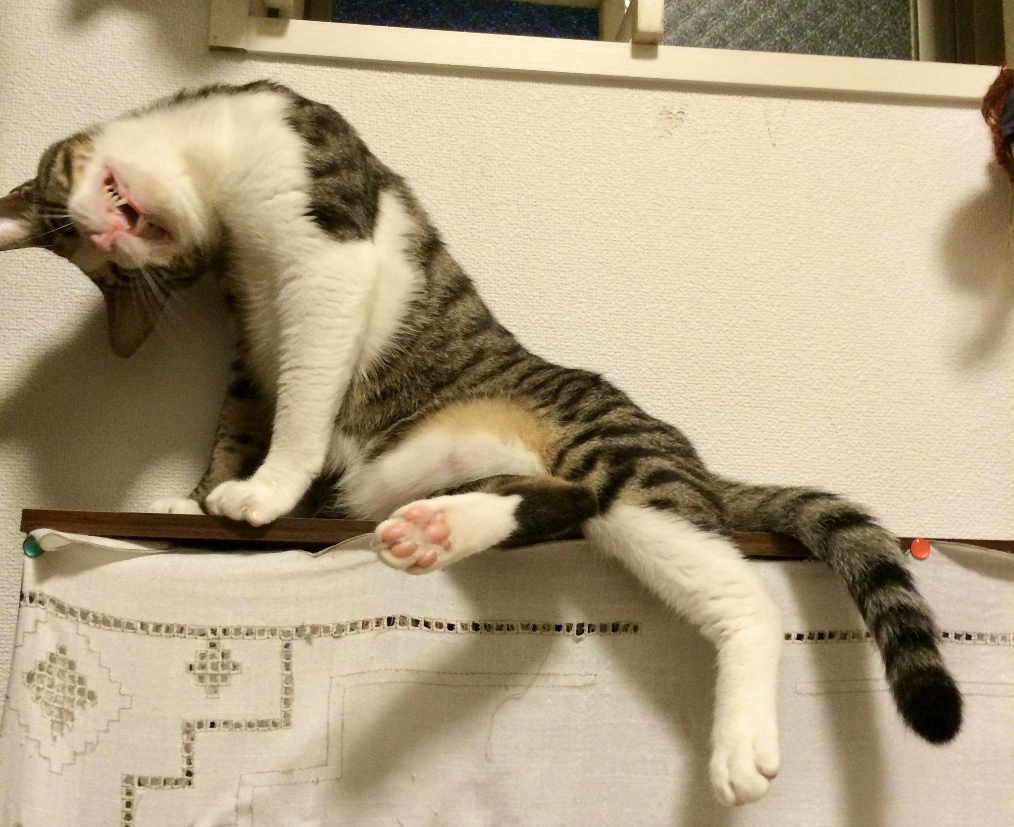 动漫中什么招式第一次看到很惊艳？ - 知乎