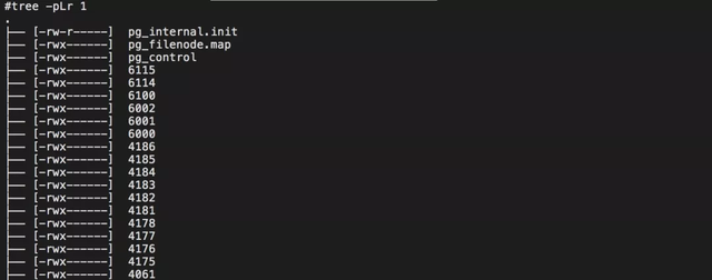 PostgreSQL 数据目录深度揭秘 - 知乎