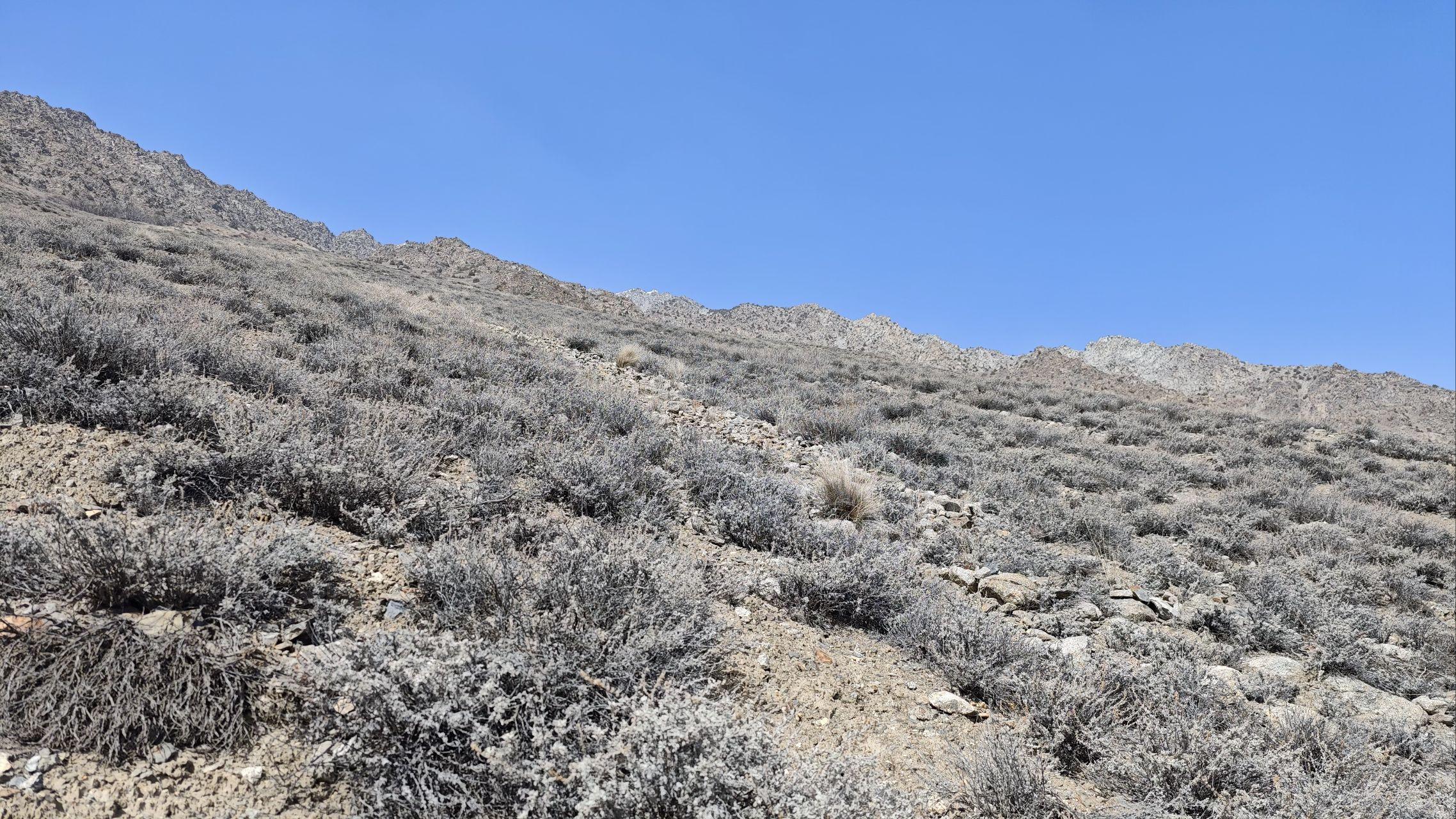 拉卡波希追峰之旅四--万丈雪山起凡尘 - 知乎