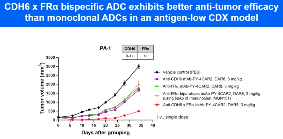 AACR2025：新型叶酸/CDH6双靶点+双毒素ADC克服传统ADC耐药，卵巢癌模型完全消退 - 知乎