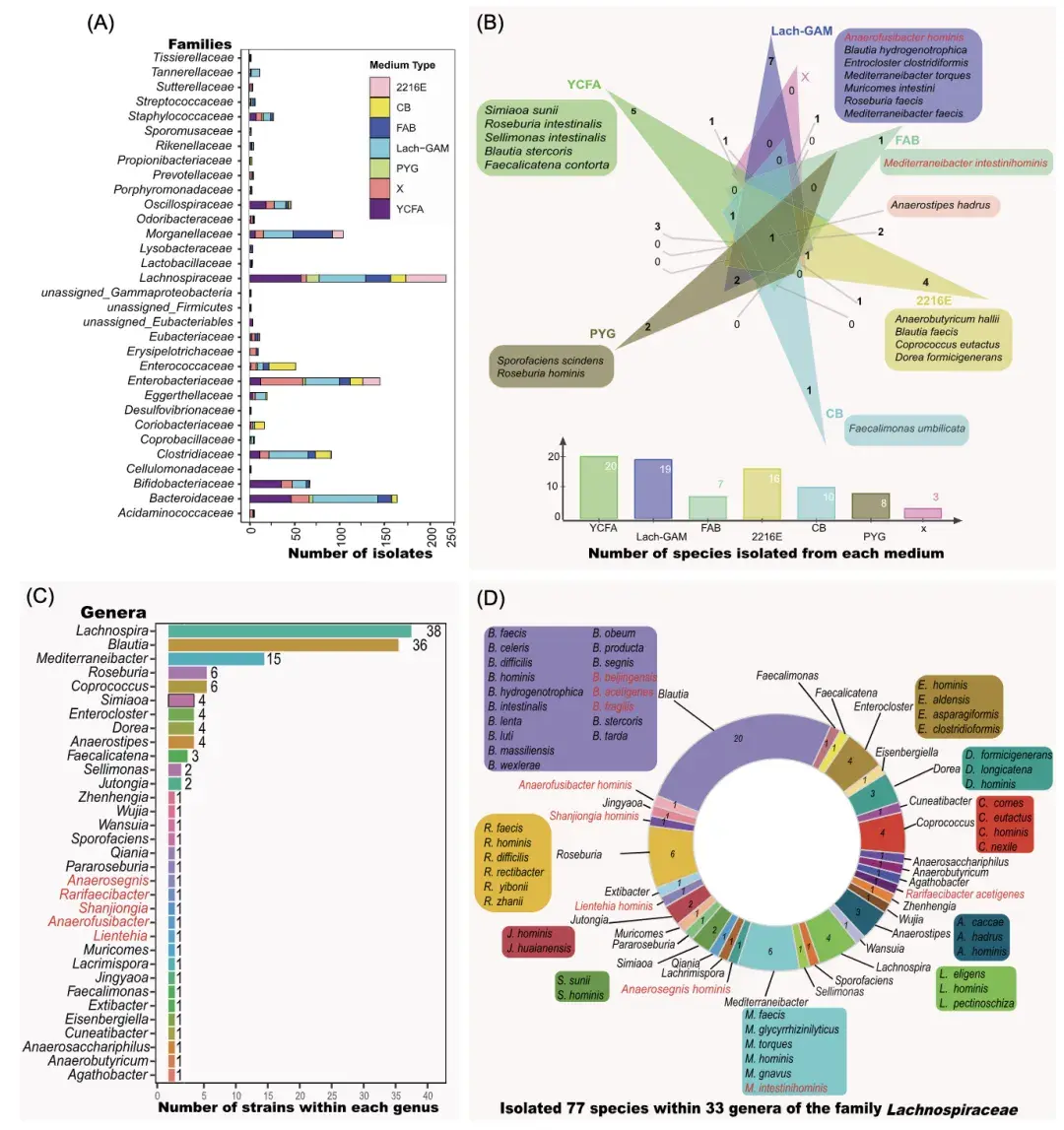 iMeta｜中科院微生物所刘双江组发布人源毛螺菌科菌株资源库和菌株水平代谢谱 - 知乎