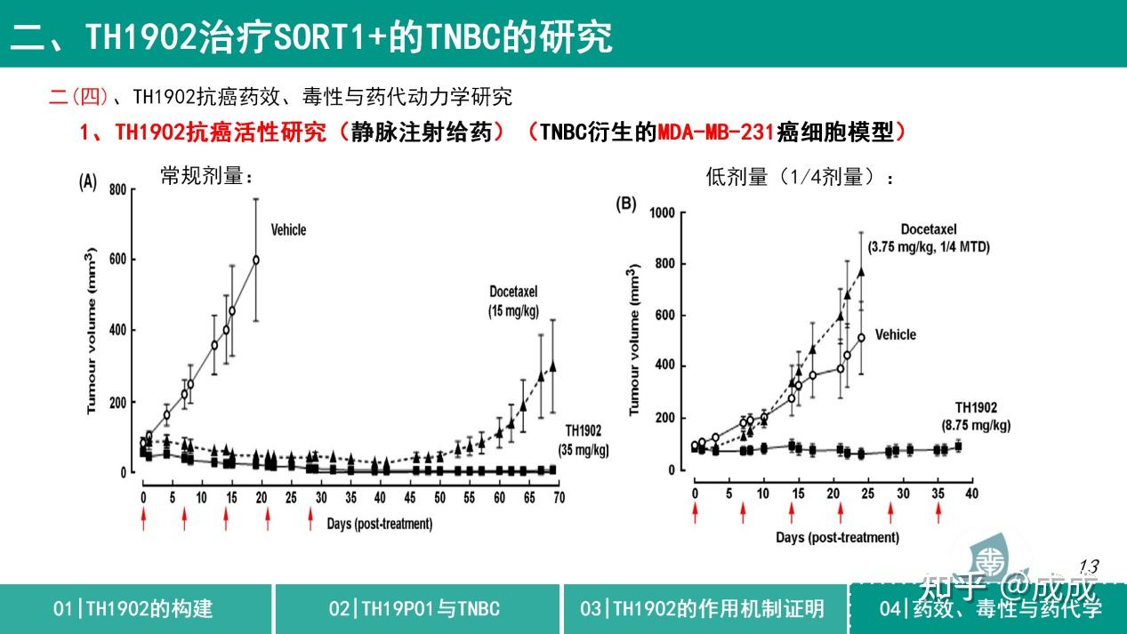 文献解读| TH1902，一种新的多西他赛肽偶联物，用于治疗sortilin阳性的三阴性乳腺癌 - 知乎