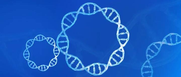 GenCircle dsDNA演绎极简美学！金斯瑞GCT试剂原料管线再添王牌 - 知乎