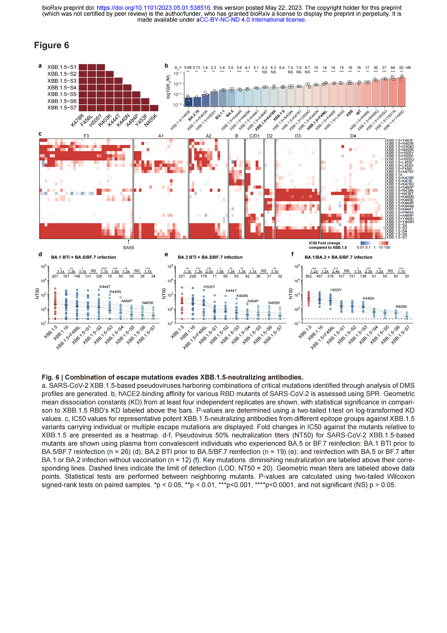 如何评价新冠病毒单克隆中和抗体SA55/SA58? - 知乎