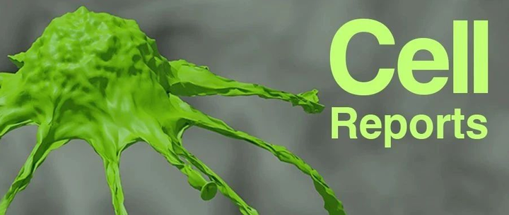 Cell Rep | 任文凯/印遇龙院士团队琥珀酰化修饰组学揭示GABA调控巨噬细胞命运机制 - 知乎