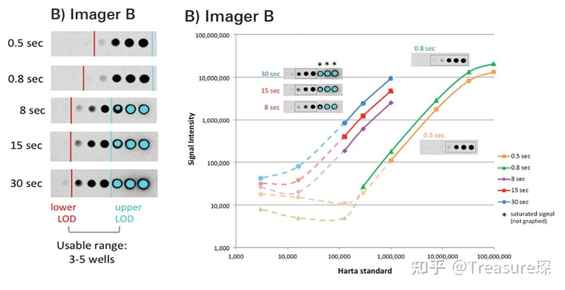ImageJ实用技巧——Western Blot定量分析深入探究(定量分析篇) - 知乎