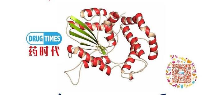 Science：靶向突变KRAS与分子伴侣蛋白的活性状态 - 知乎