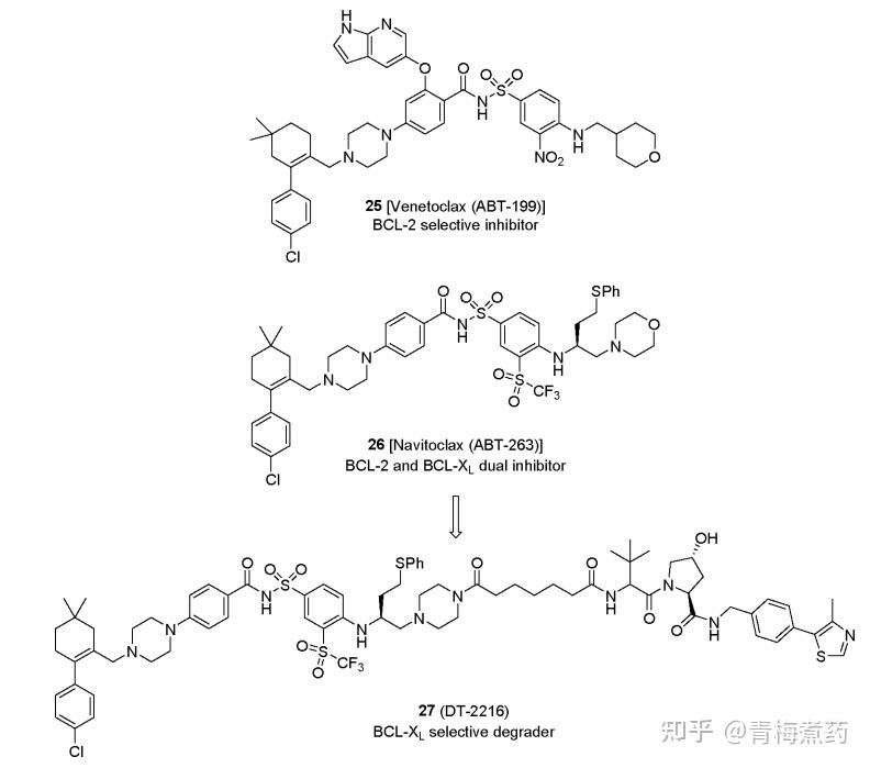 药物设计 | 通过靶向蛋白降解（TPD）实现药物选择性 - 知乎