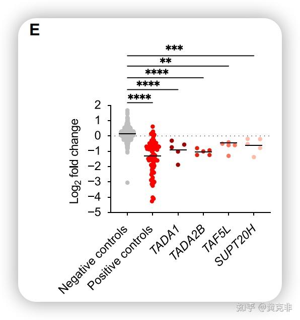 神母细胞瘤中MYCN-gain与SAGA complex之间的关联 - 知乎