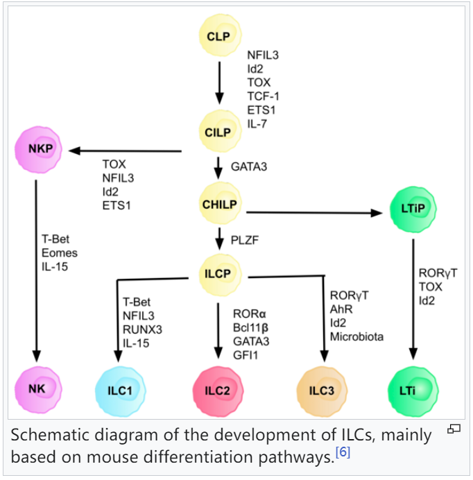 使用CellTypist完成细胞类型的自动注释 - 知乎