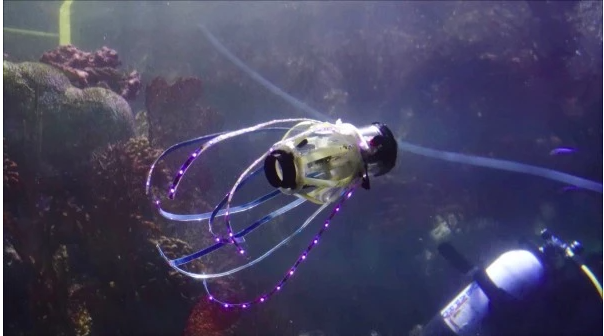 就像真实的事物一样，“ Squidbot”用水流推动自己 - 知乎
