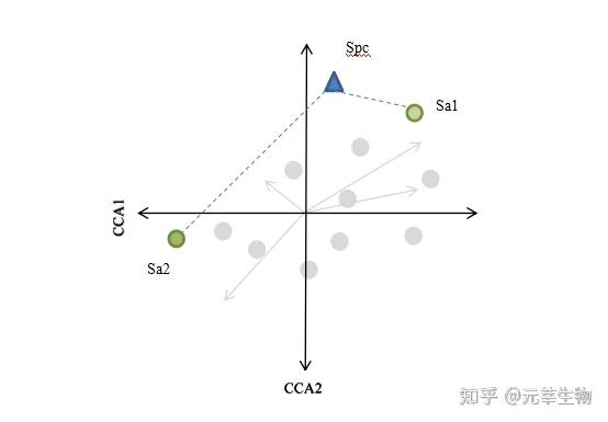 环境因子与微生物群落的关联方法之RDA/CCA分析 - 知乎