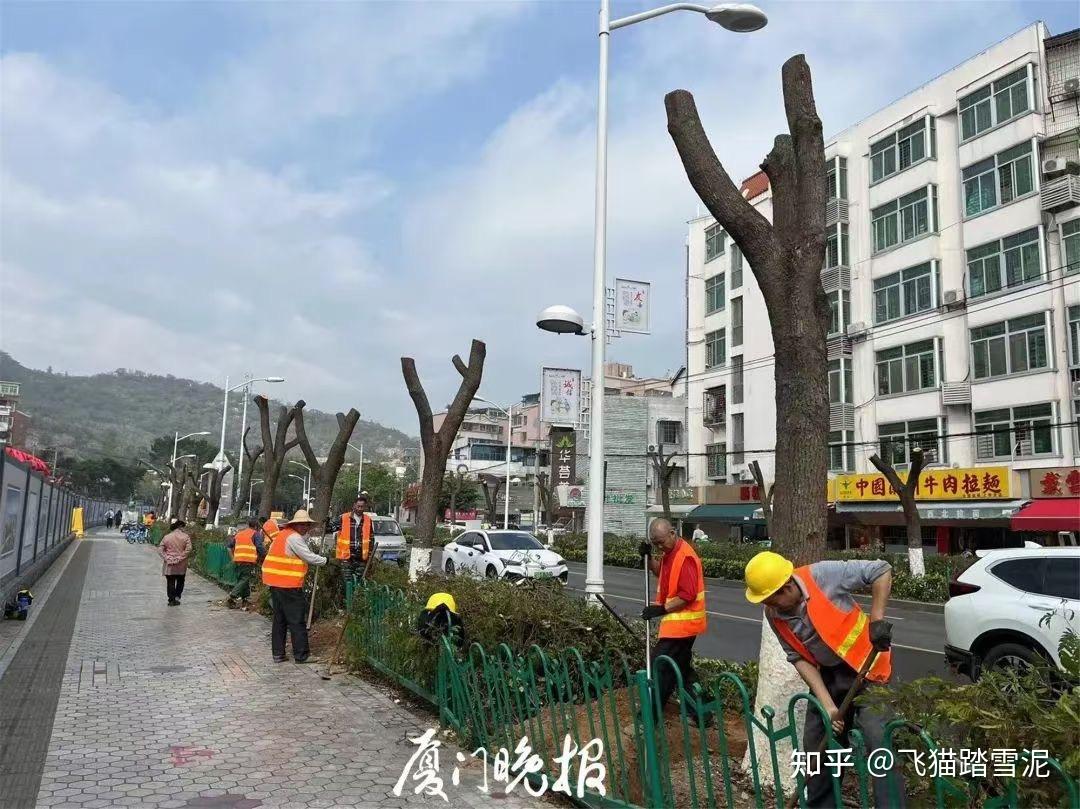 杜苏芮和之前登陆的16级莫兰蒂相比如何？如何看待莫兰蒂留给闽南人的心理阴影？ - 知乎