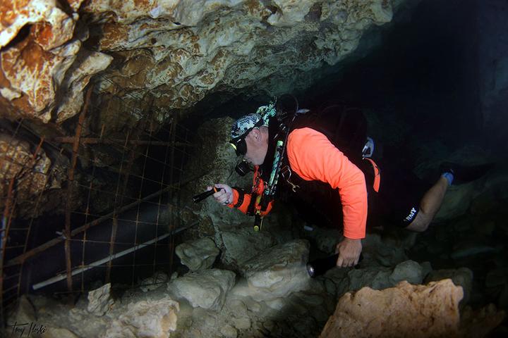 潜水照明｜虎鲸D530手持小巧便捷式潜水电筒 - 知乎