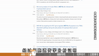 HCT-8细胞培养，人结直肠腺癌细胞培养攻略 - 丰晖生物 - 知乎