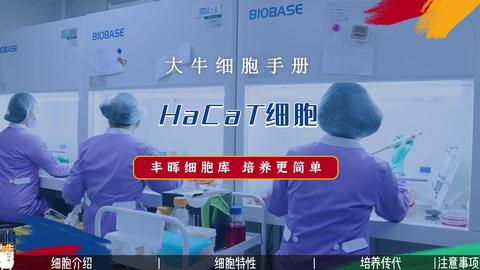 HaCaT细胞培养，人永生化表皮细胞培养攻略 - 知乎