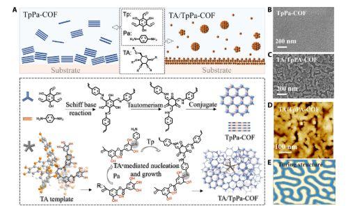 COF膜！博士生一作！哈尔滨工业大学，新发Science子刊！ - 知乎