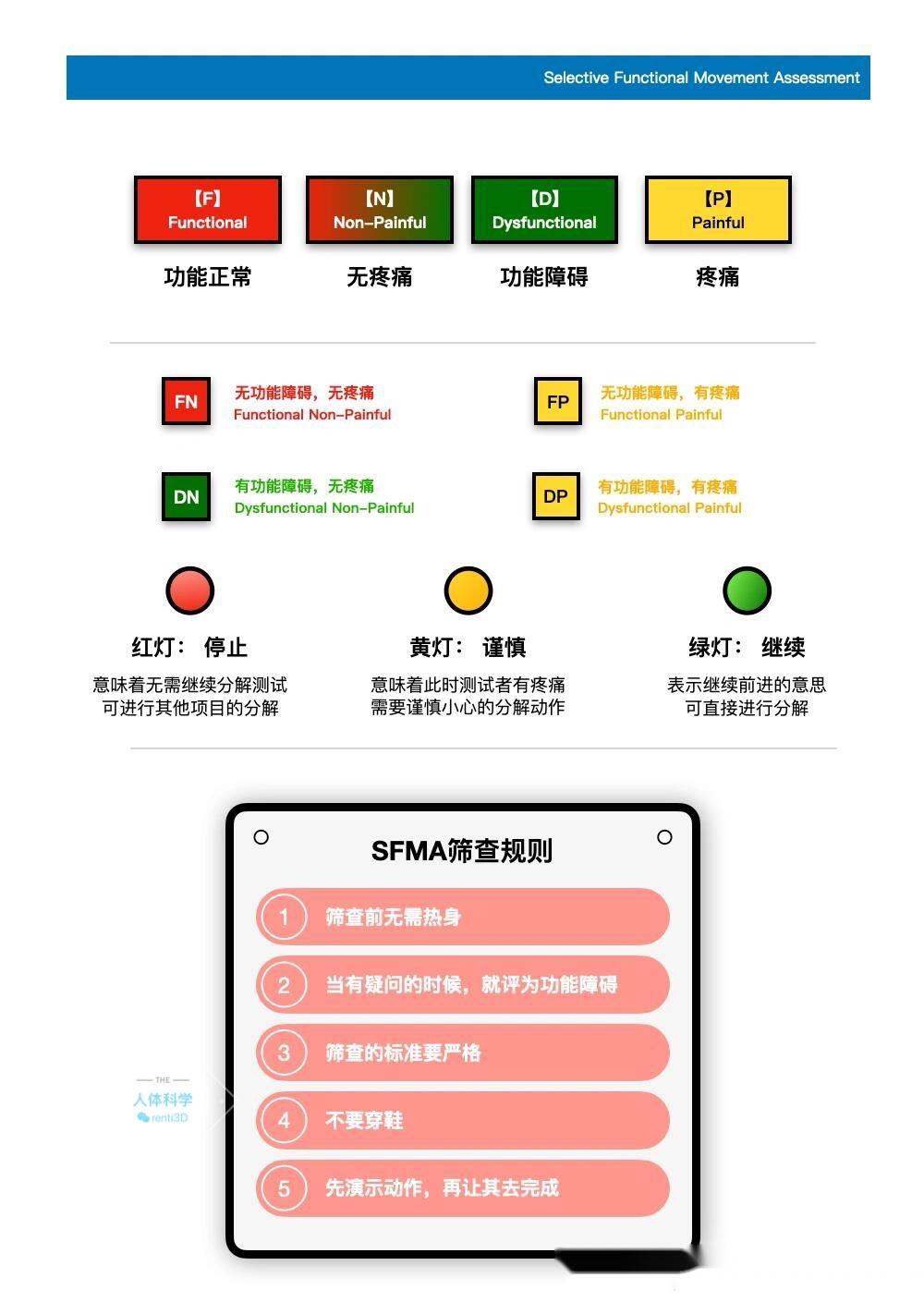 【动作评估】SFMA初阶评估方法汇总（含评估表） - 知乎