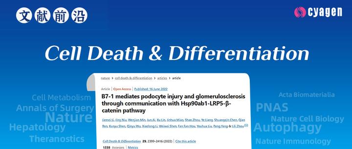 南方医院发现足细胞损伤的重要机制，有望改善靶向B7-1的肾病疗法 - 知乎