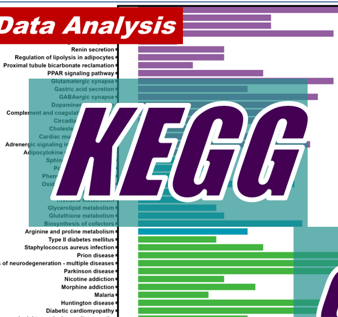 KEGG通路结果分类排列，找通路更快一步 - 知乎