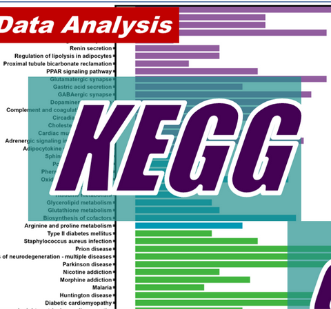 KEGG通路结果分类排列，找通路更快一步 - 知乎