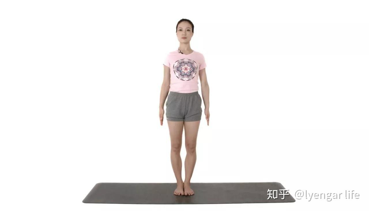 打开胸腔，保持愉悦心情的体式牛面式（Gomukhāsana）手臂练习 习练详解｜视频教程 - 知乎