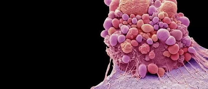 PD-1抗体“新搭档”——PRMT5抑制剂 - 知乎