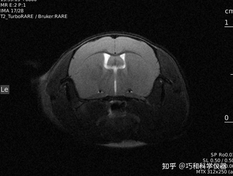 大型科研仪器介绍——布鲁克Bruker 9.4T小动物MRI - 知乎