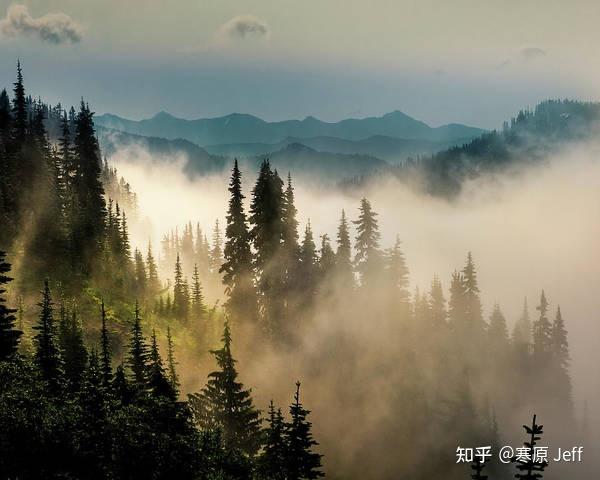 有哪些简单易懂的英文现代诗歌值得分享？ - 知乎