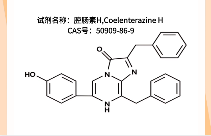 Coelenterazine H：是一种天然荧光素（CAS号：50909-86-9） - 知乎