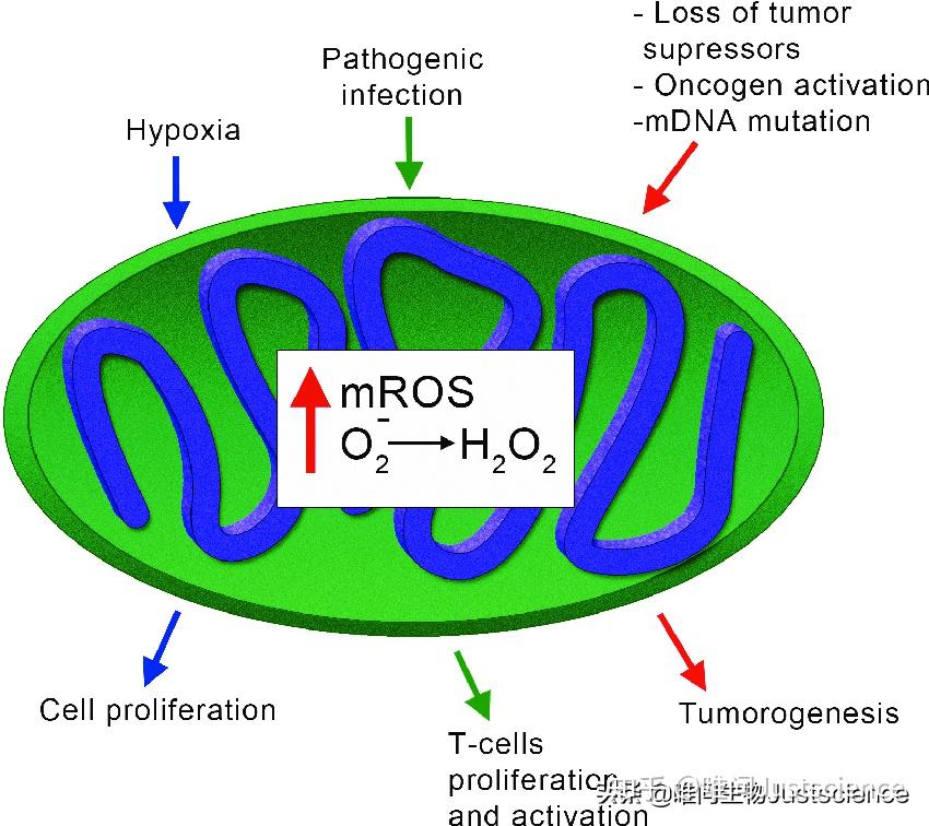 ROS检测方法总结 - 知乎