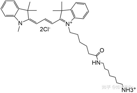 科普：Cy3标记链霉亲和素是什么？使用时有哪些注意事项？ - 知乎