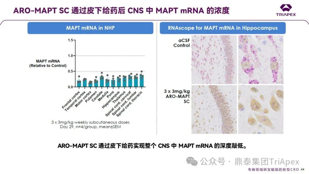 Arrowhead 在 CNS 疾病领域基于寡核苷酸的技术革新和实践经验 - 知乎