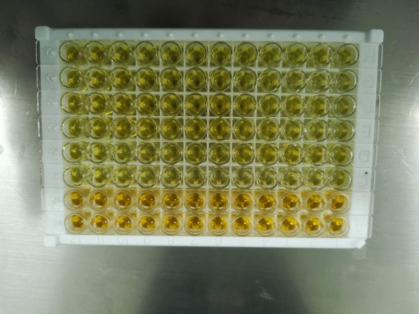 ELISA操作步骤 - 知乎
